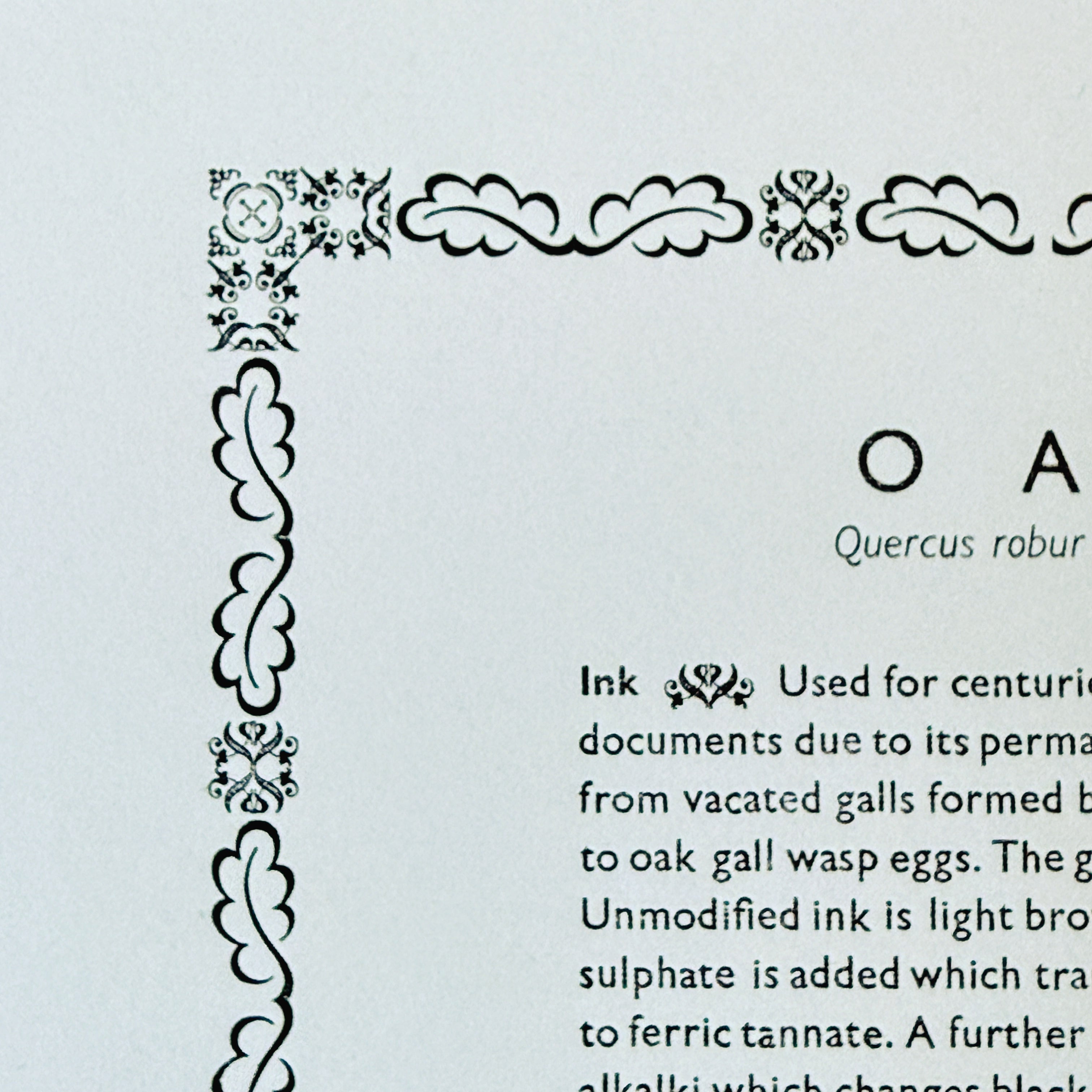 Oak Broadsheet – Princetown Press